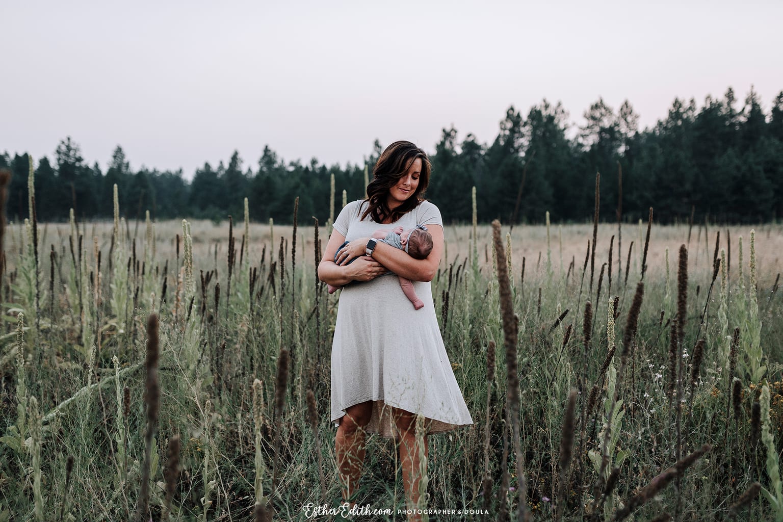 Online Esther Edith Spokane Breastfeeding Portraits Aug 2017 17